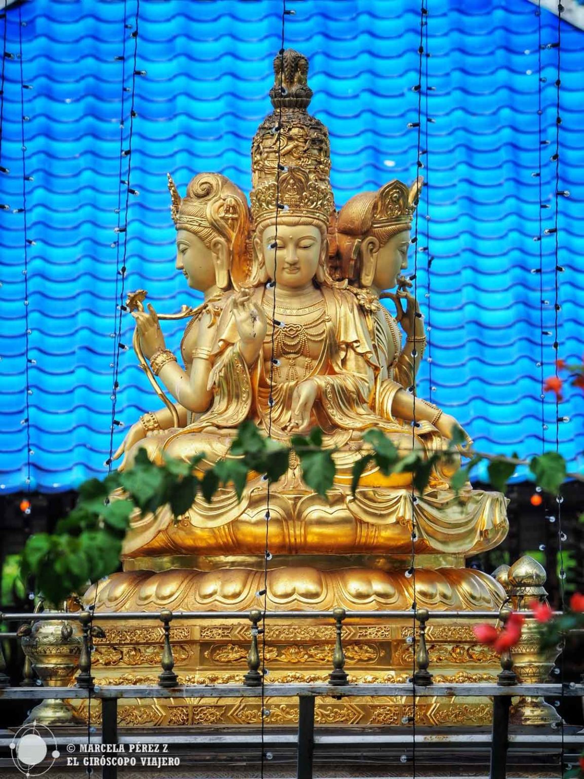 Colombo | Qué ver y hacer en la Capital de Sri Lanka